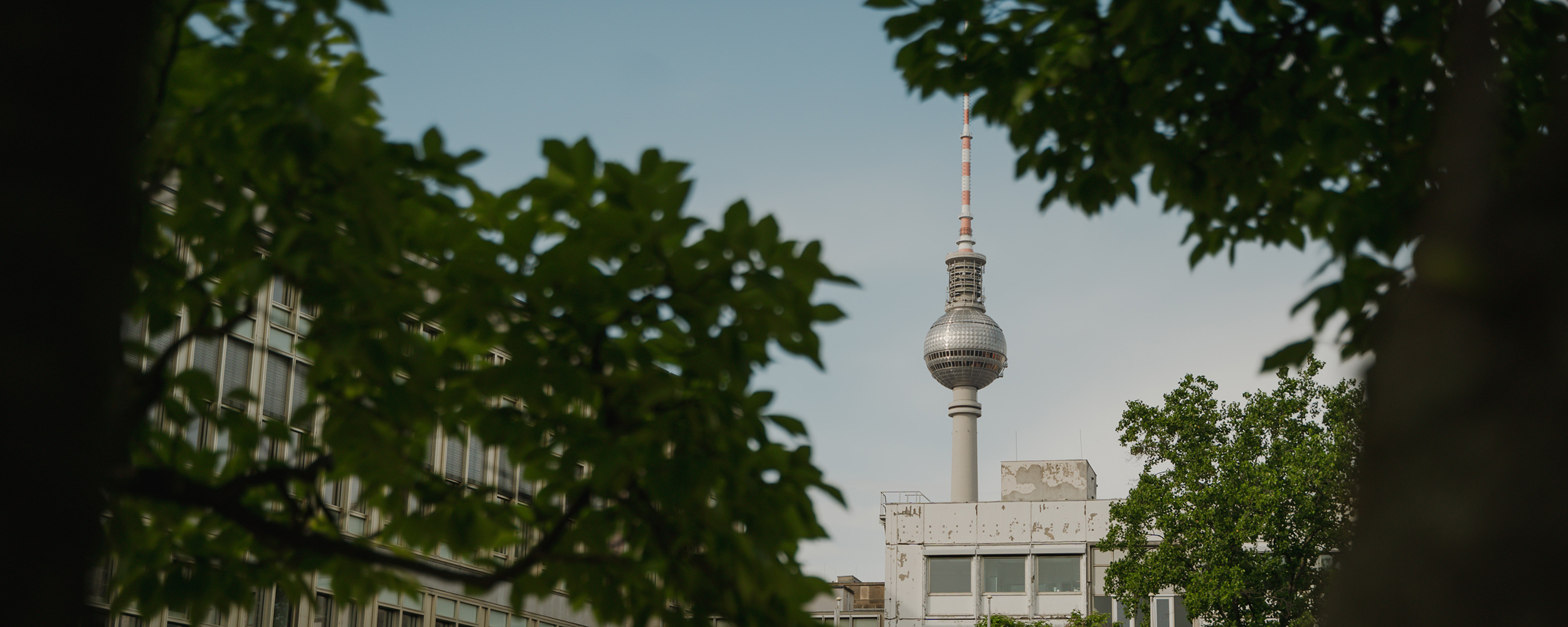 Meet the master program faculty | ESMT Berlin