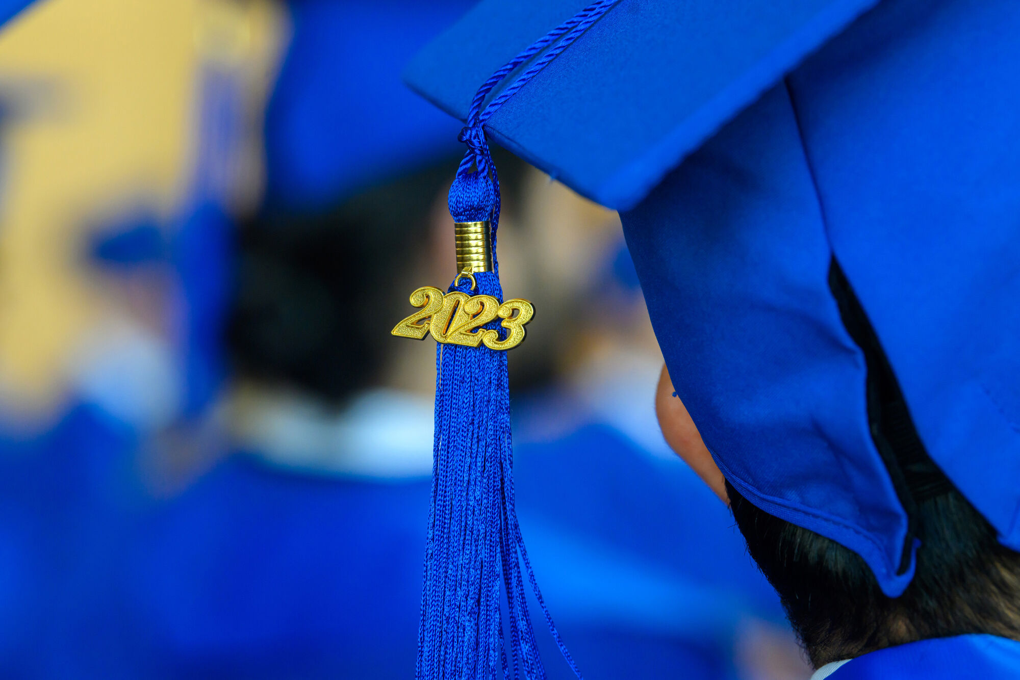 ESMT Berlin | Alumni Network | Global Community